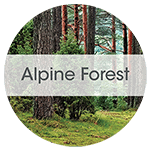 Fragrances | Fresh Products